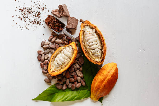 Cocoa Ventures LLC